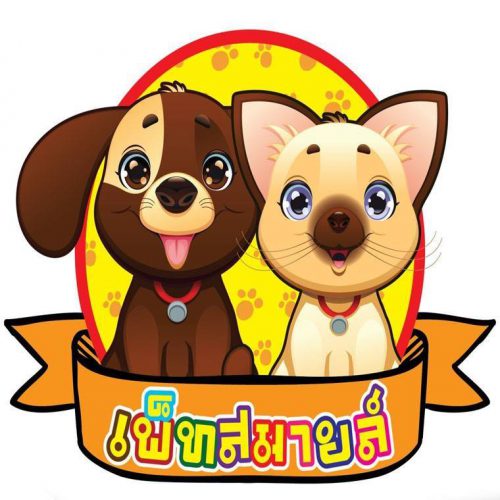 น้ำพุแมว อัจฉริยะ ระบบการกรองมากที่สุดถึง 5 ชั้น - PAWOOF